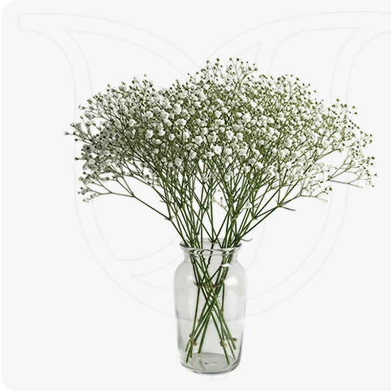 Gypso Bouquet - Weddings | Fresh Flowers - BuyFlowers