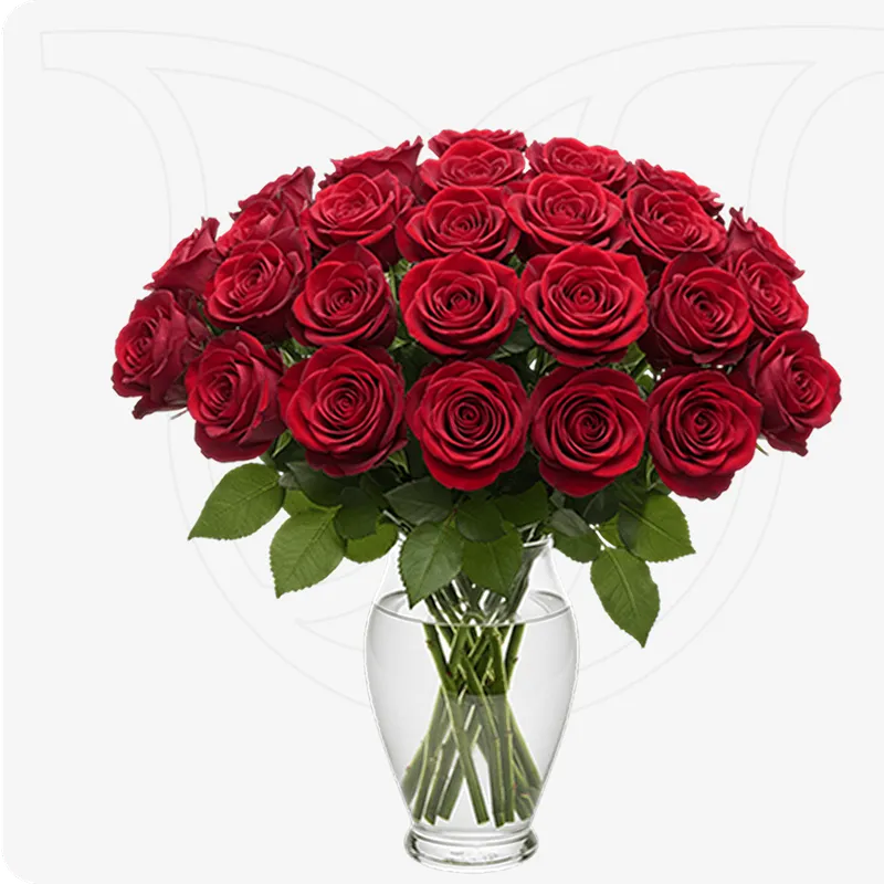 Red Roses/Greenery | Fresh Flowers - BuyFlowers