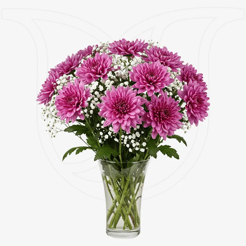 Pink Chrysanthemums /Gypso | Fresh Flowers - BuyFlowers